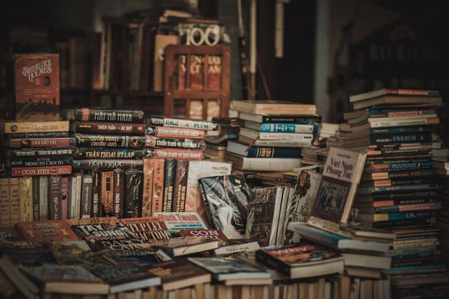 What is a Novel? - alanwatt.com