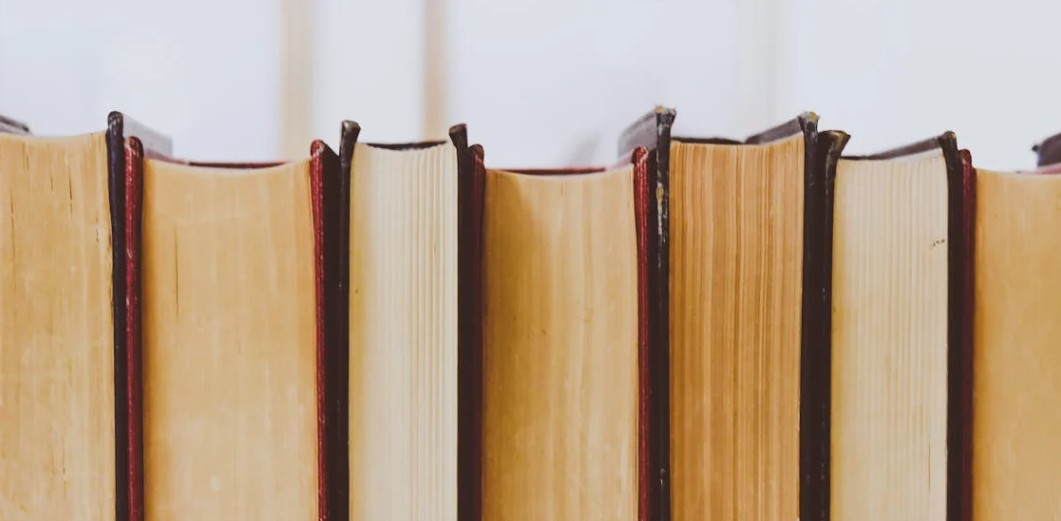 What Is a Novel? Definition, Types & Key Characteristics